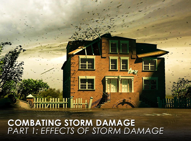 Combating storm damage. Part 1 - effects of storm damage