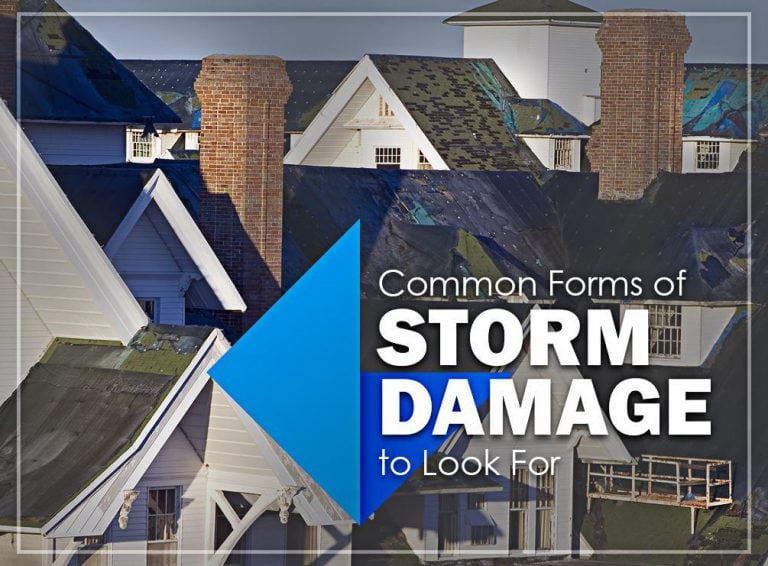 Common forms of storm damage to look for