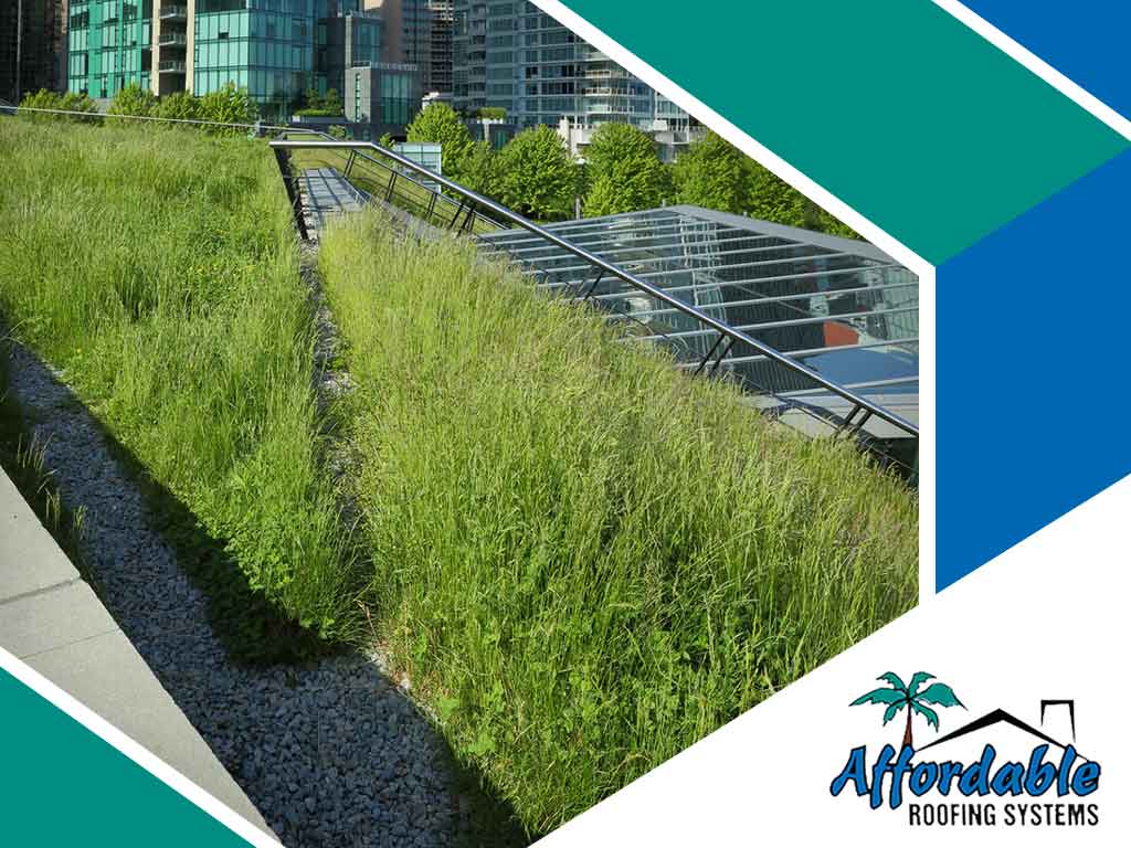 Maintenance tips to make a vegetative roof last