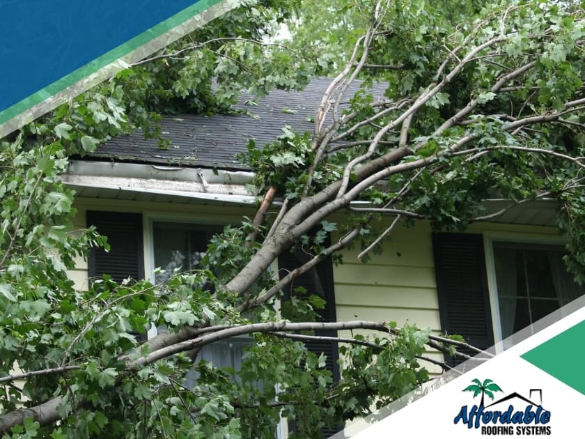 Roof Damage After A Storm? Everything You Need to Know